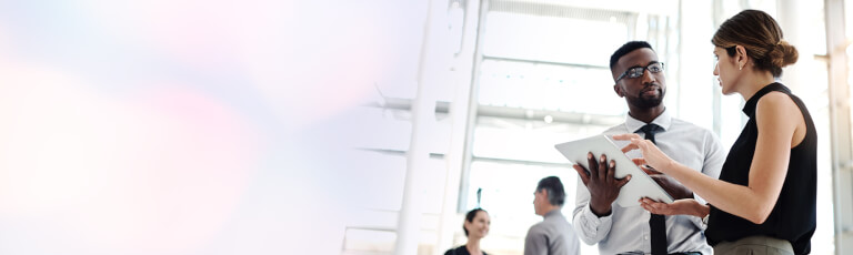 State and local government consulting | Experian