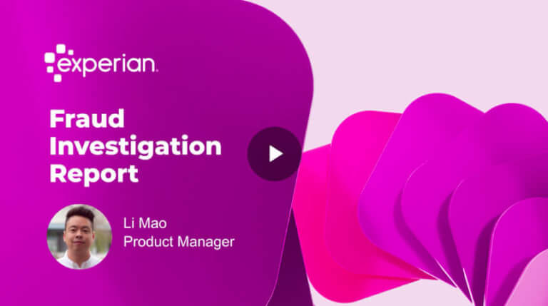 Fraud Investigation Report Demo