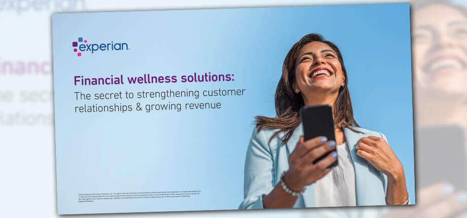 Financial Wellness Solutions Guide | Experian Partner Solutions