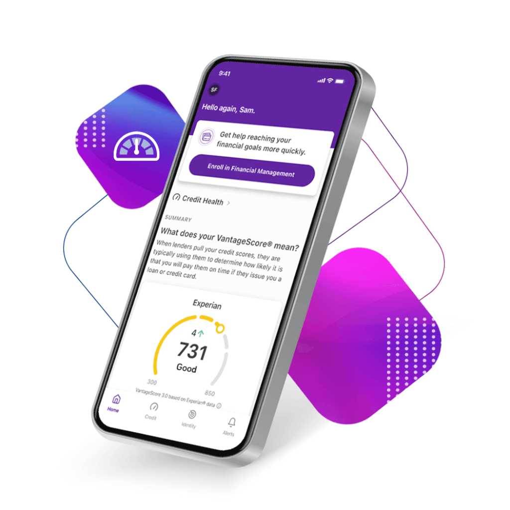Embeddable Credit Scores and Reports | Experian Partner Solutions